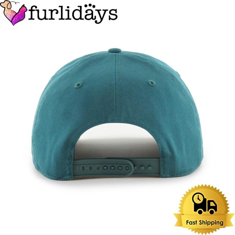 NFL Philadelphia Eagles Logo Team Embroidered Cap